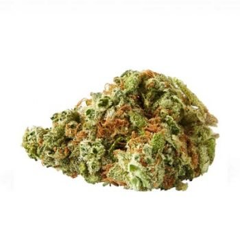 Super Skunk CBD : Avis sur la Fleur CBD Super Skunk